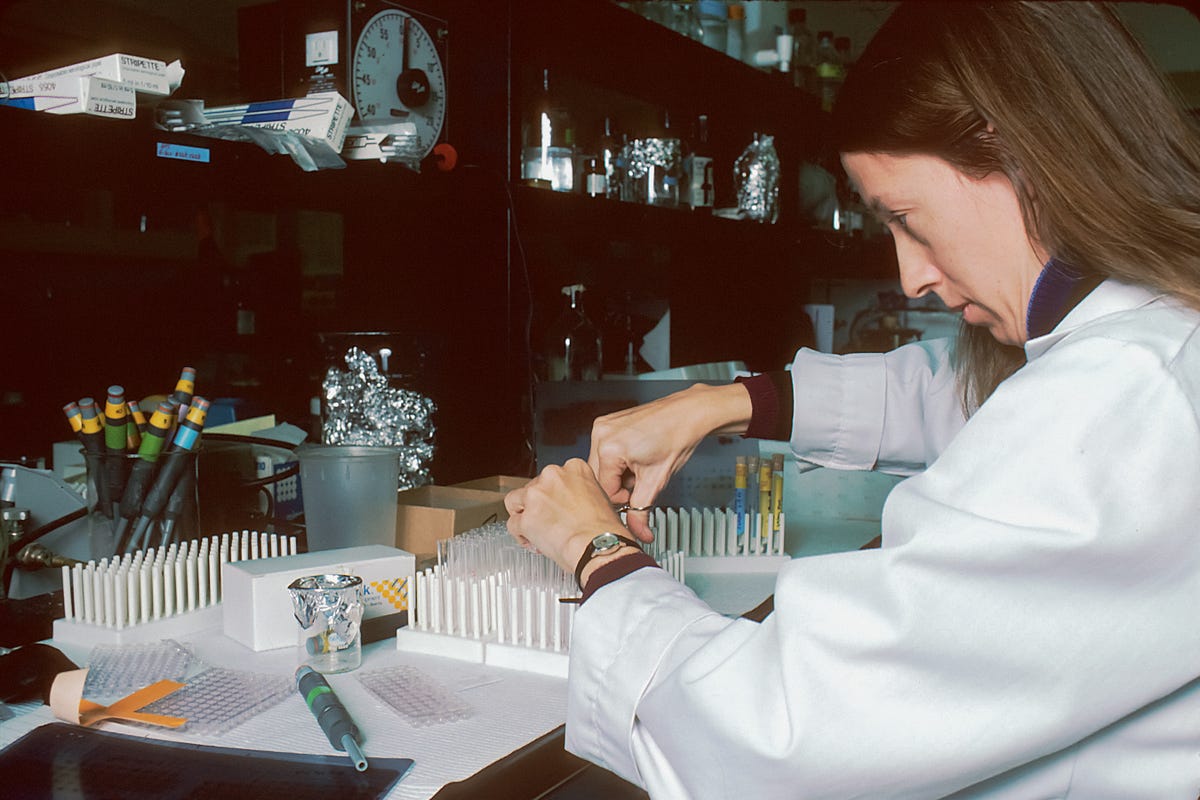 Navigating Single Cell RNA Seq Courses: A Researcher’s Odyssey | by ...