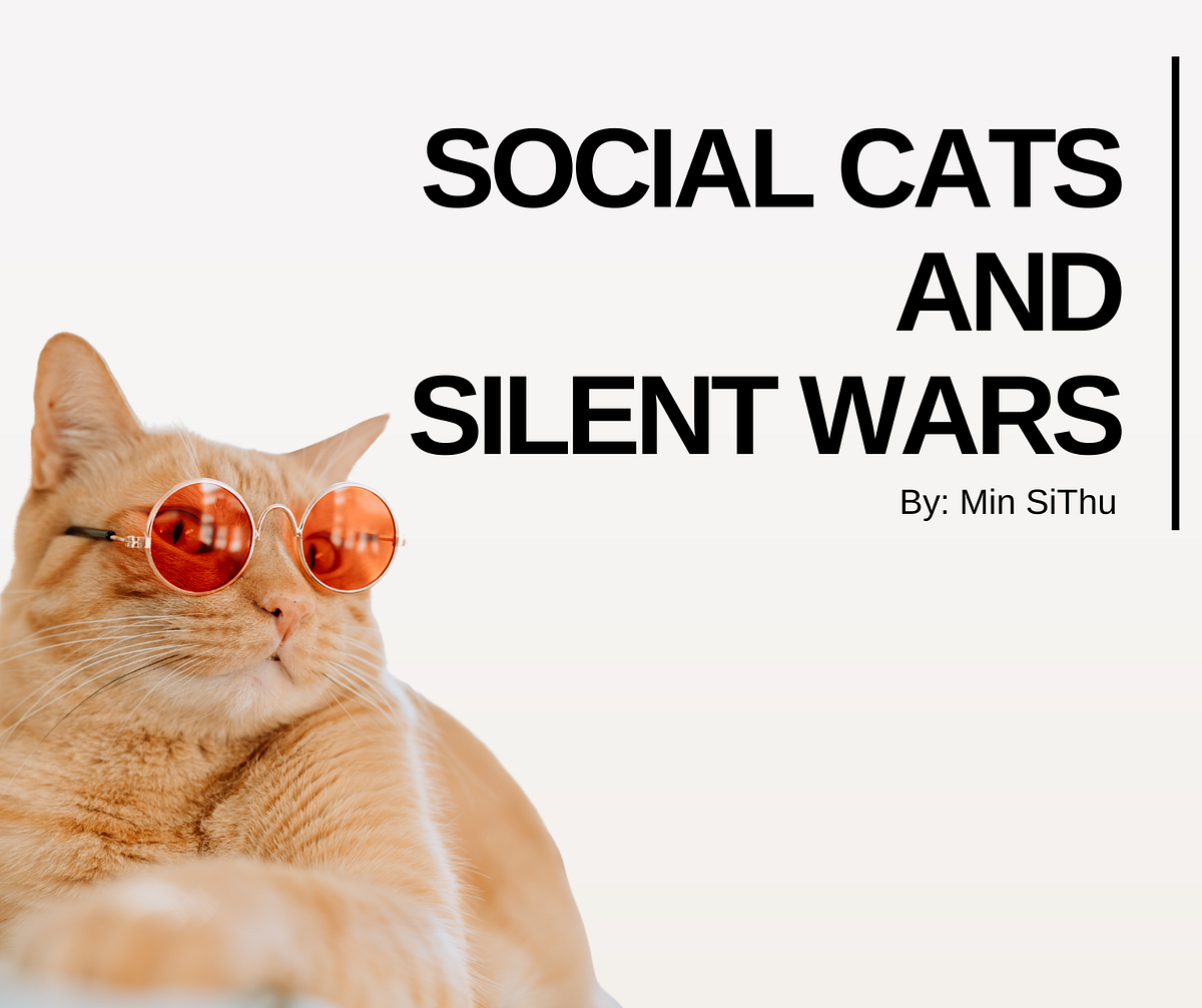 Social Cats and Silent Wars. By: Min SiThu | by Min SiThu | Medium