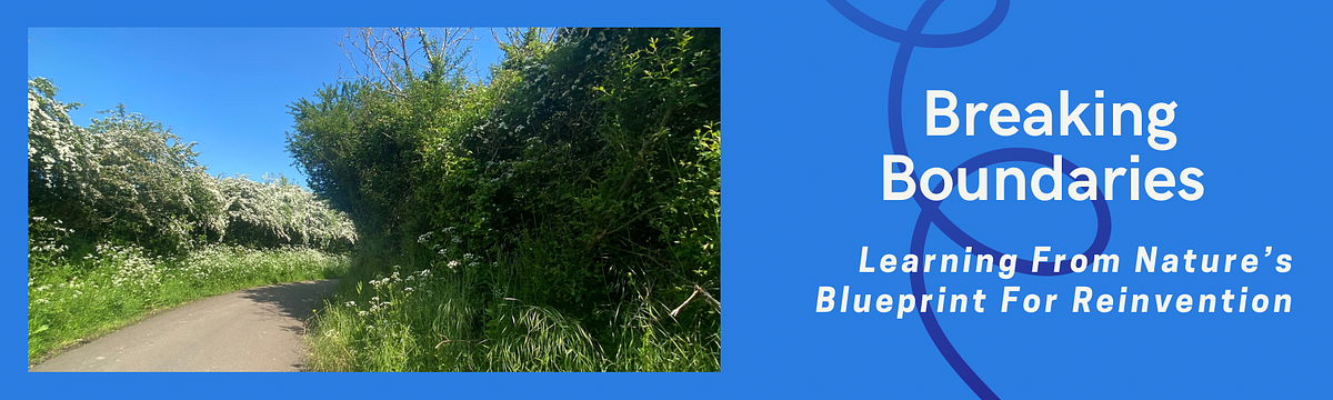 Breaking Boundaries - Learning From Nature’s Blueprint For Reinvention ...