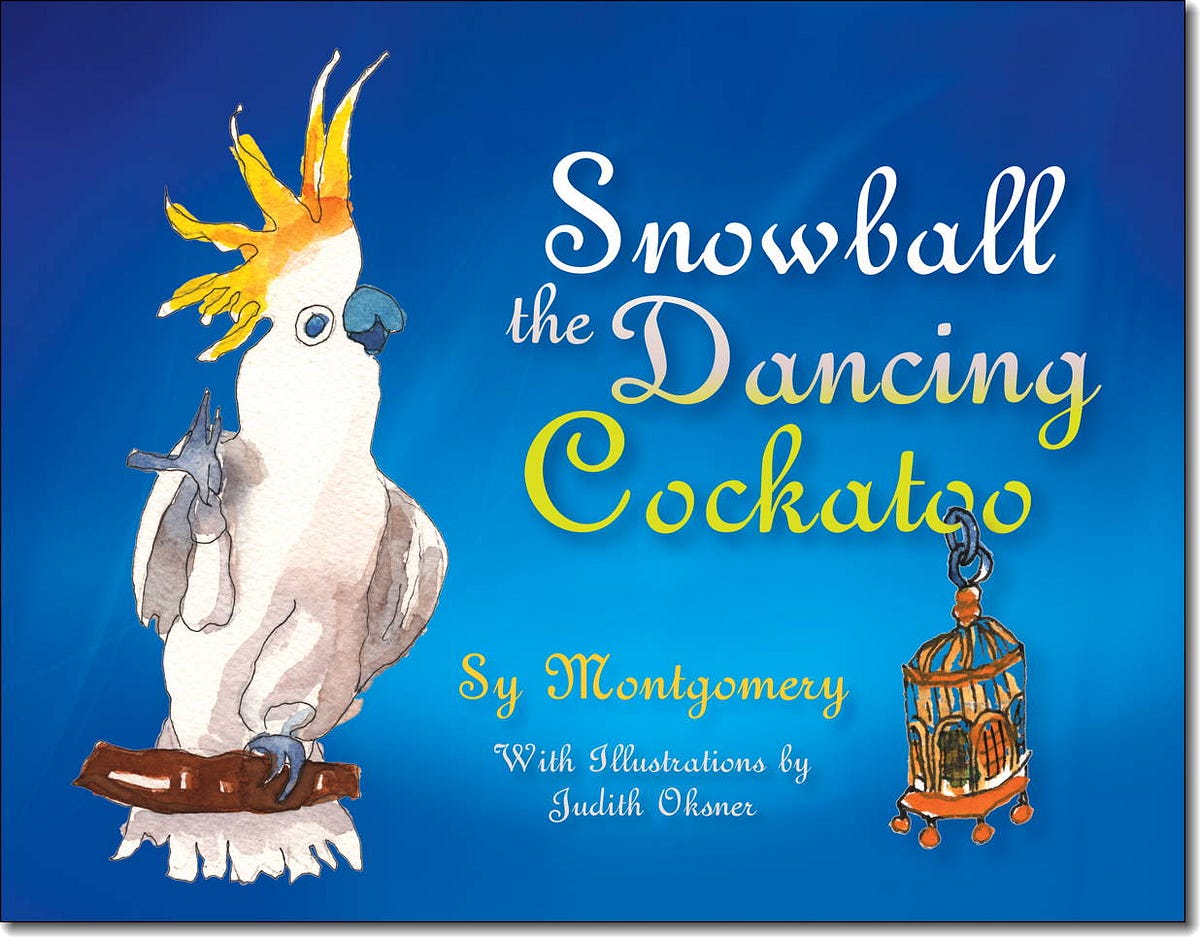 Snowball the dancing cockatoo by Sy Montgomery — Review | by ...