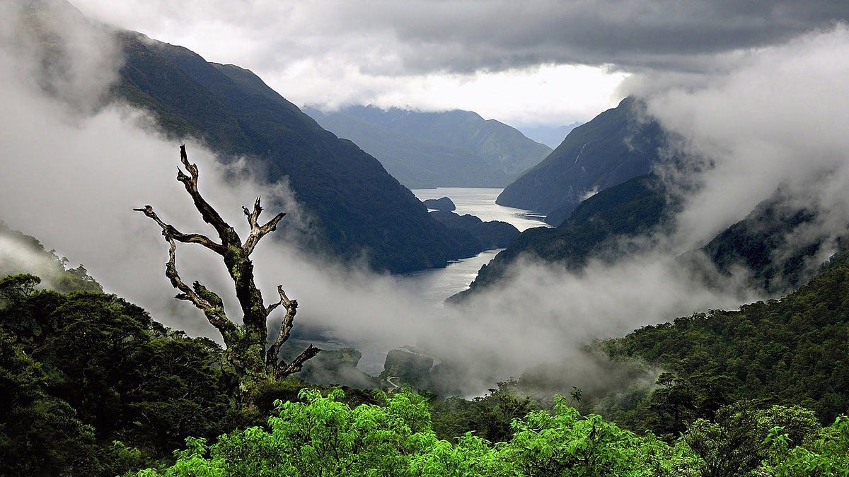 Mist over the mountain tops - Nozipho Bankali - Medium