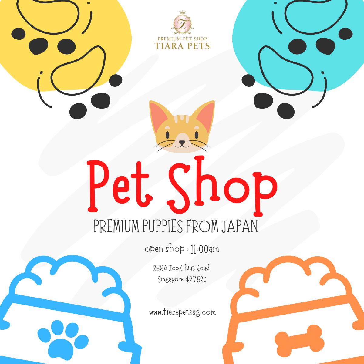 Pet Shops in Singapore: Your Guide to Finding the Best - Tiarapetssg ...