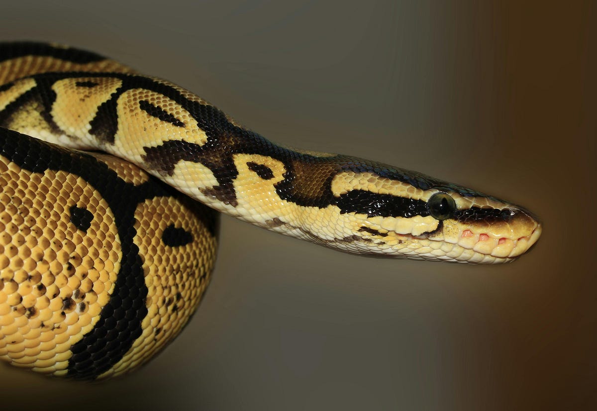 7 Ways of Filtering Values from a DataFrame | by Dr. Alvin Ang | Python ...
