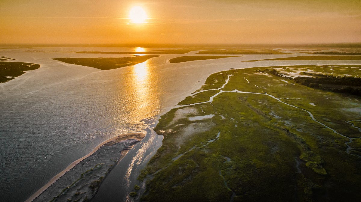 Bulls Island Sunset. #PhotoJambo | by Matt Spangard | Medium