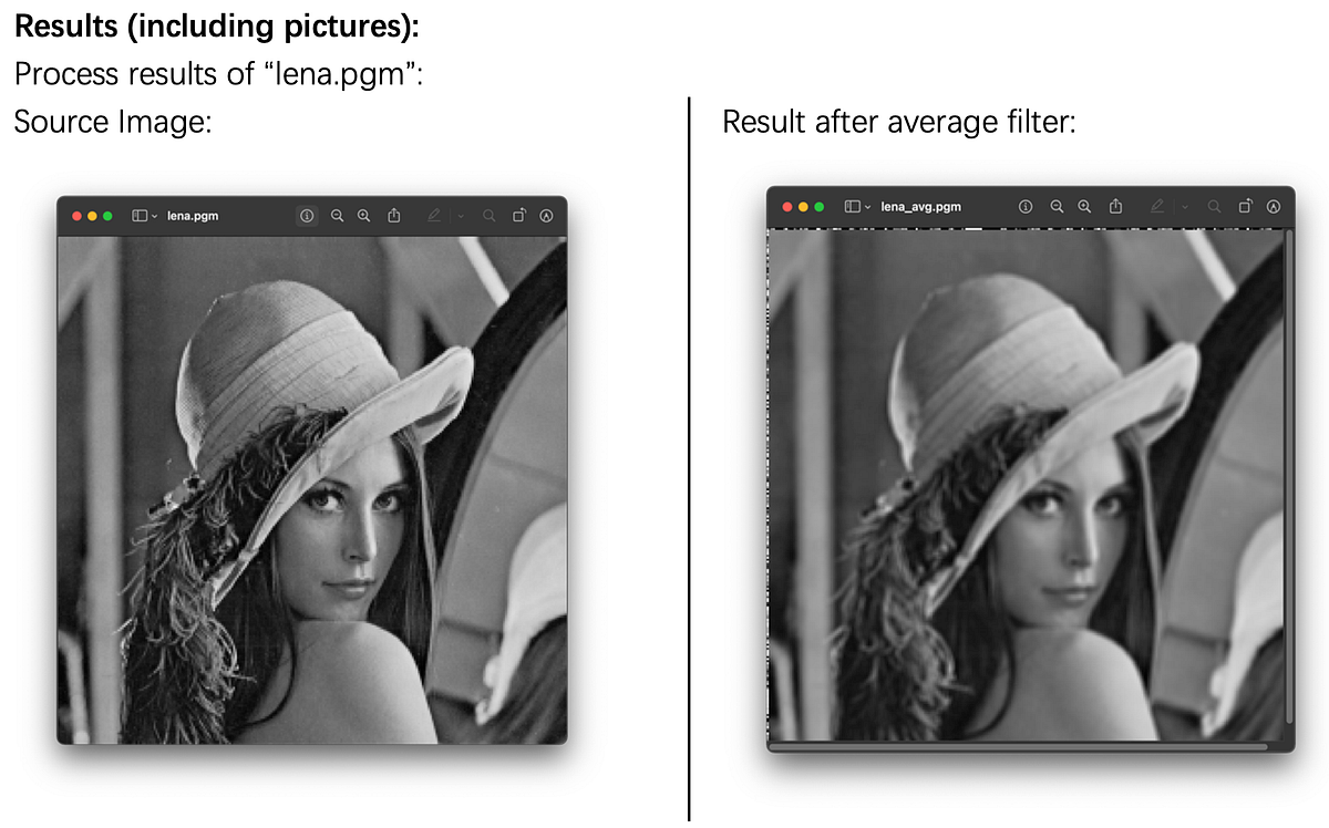 Digital Image Processing in C (Chapter 1): Mean and Median Filter | by Zhe LIN | Medium