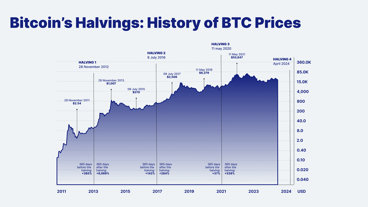 Bitcoin’s Early Halving Year Pattern | by Shogun Saski | Medium
