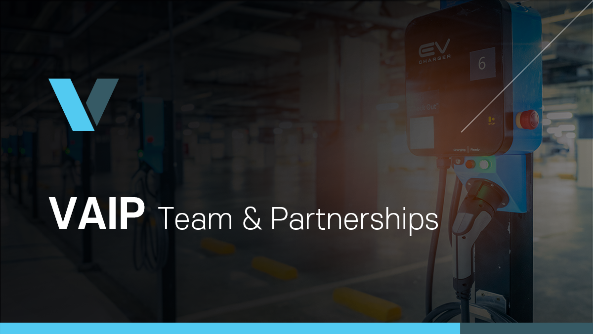 VAIP Team & Partnerships. We Are VAIP Team! | by VAIP Foundation | VAIP ...