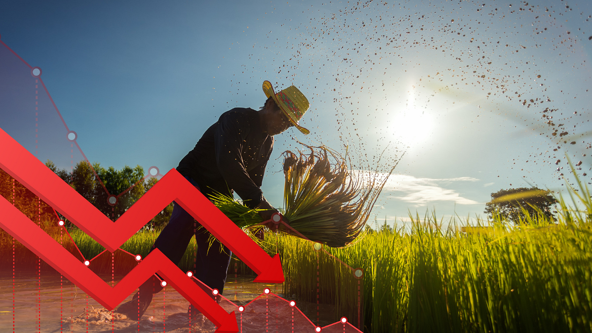 A New Farmer Crisis Is Here. Getting worse post tariffs | by Shubhransh ...