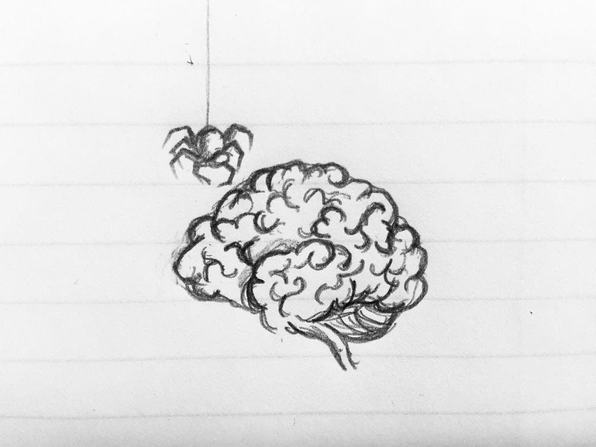 My Jiu Jitsu Brain is Finally Working | by White Belt Chronicles | Medium