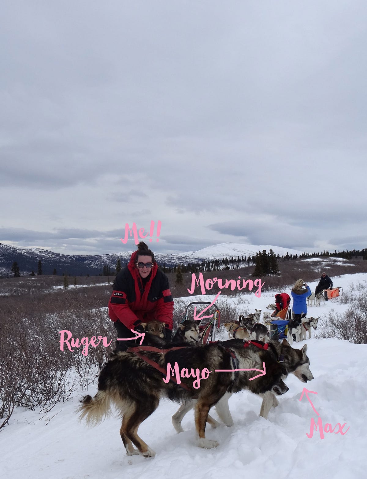 Learning to Mush in the Yukon. If you have ever dreamed about driving ...
