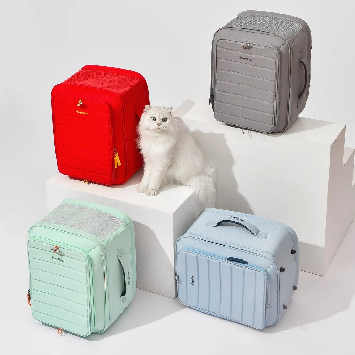 Pet backpacks to adventure with your feline friends | by MayMaw | Medium