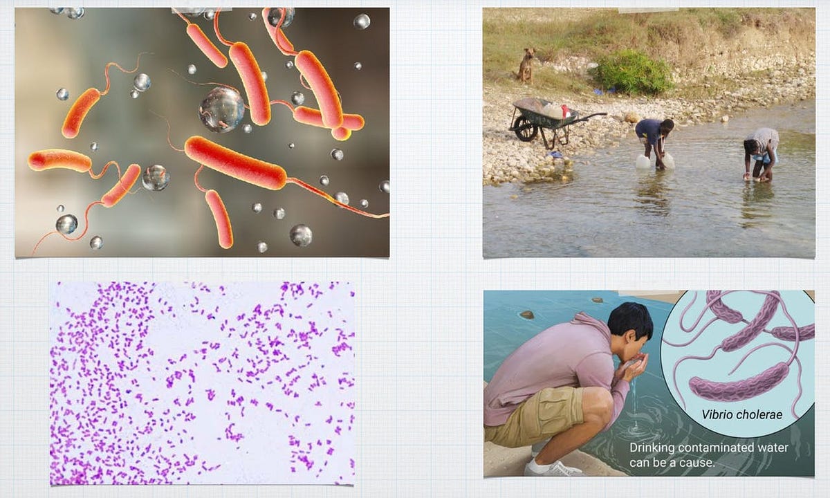 Application of Machine Learning for the predictions of Water Diseases ...