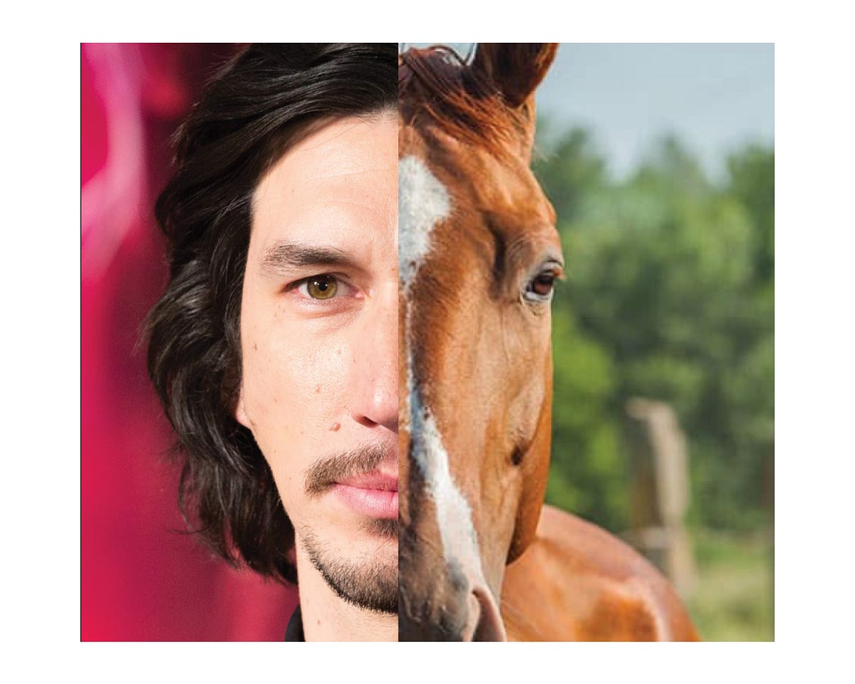 How Adam Driver Became The Centaur Of Attention | by Steve Wyatt | The ...