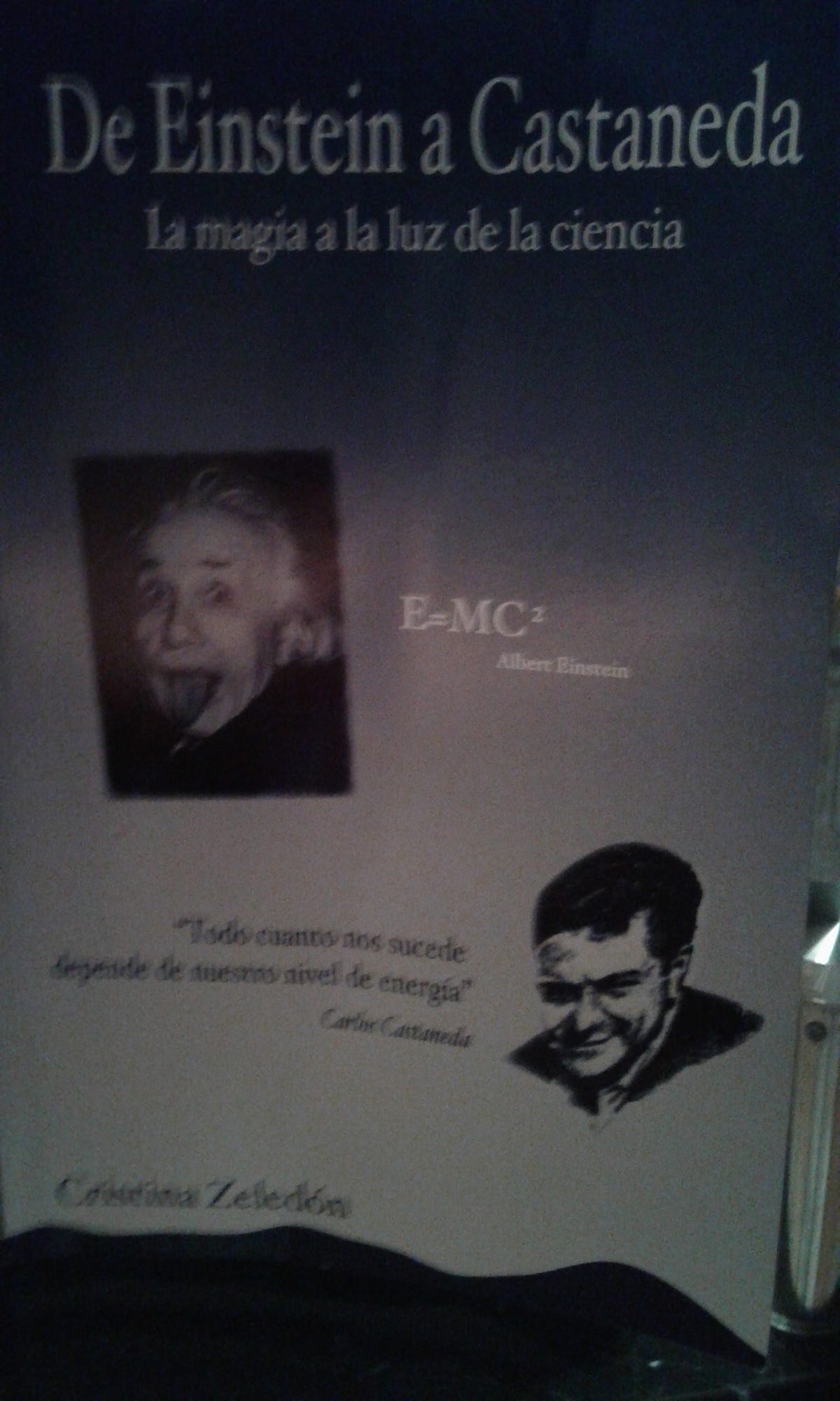 Cuando leo “De Einstein a Castaneda” | by Arlette Pichardo Muñiz | Medium