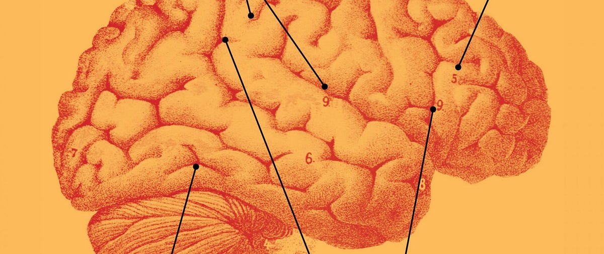 Resilience & Adaptability: On Kelly Davio’s ‘It’s Just Nerves: Notes on ...