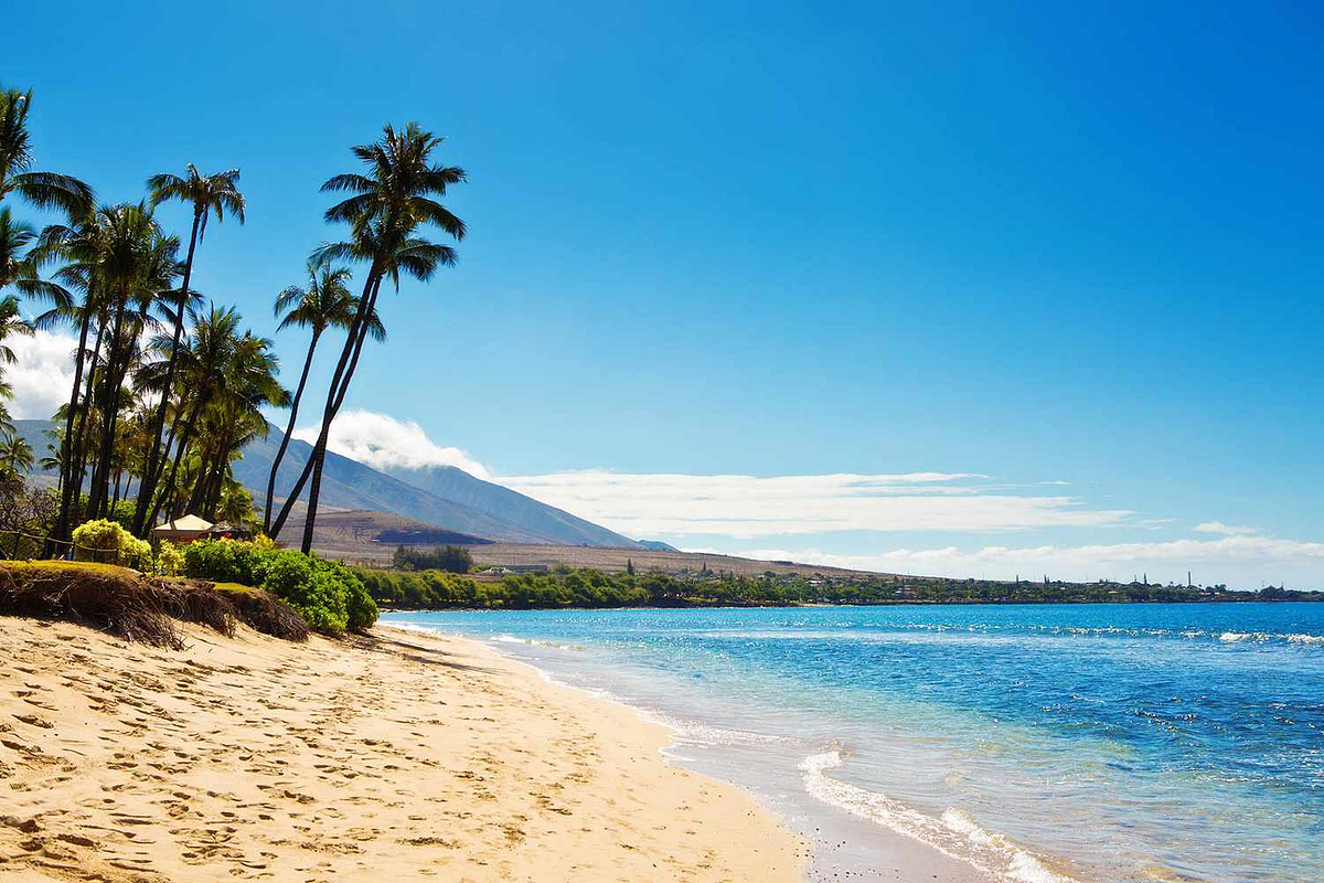 Discover the Top 10 Beaches to Visit This Summer in the United States ...