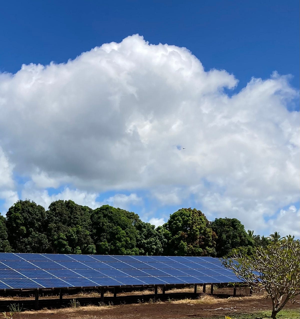 A Solar Powered Poem. Solar panels plus agriculture = ? | by Amanda ...