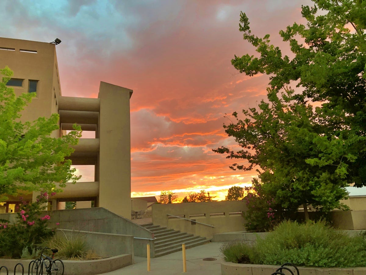 Walking UNM:. Exploring a corner of the University | by MetroABQ ...