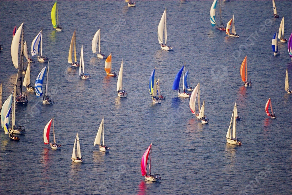 St. Petersburg Sailing Regatta: A Jewel of the Sea in Florida | by ...