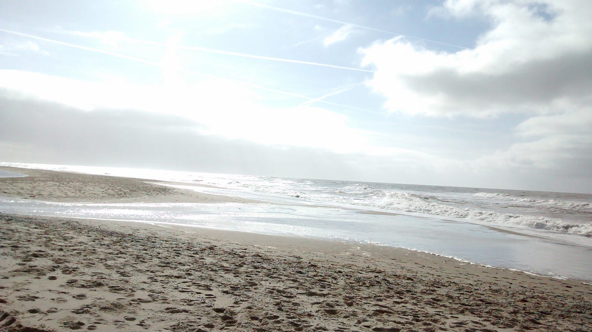 Texel in de vroege lente. Laten we iets leuks ondernemen met z’n… | by Shibra Grainger | Shibra ...