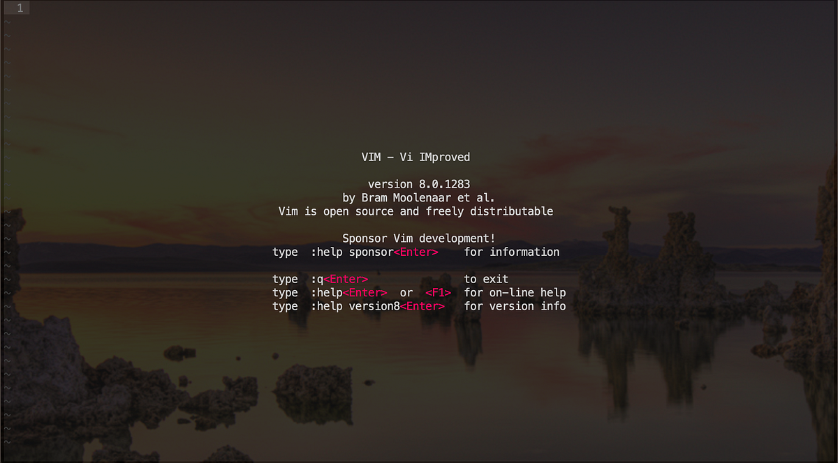 Vim is Vulnerable — Update Vim on macOS | by Christopher Shaffer | The Startup | Medium