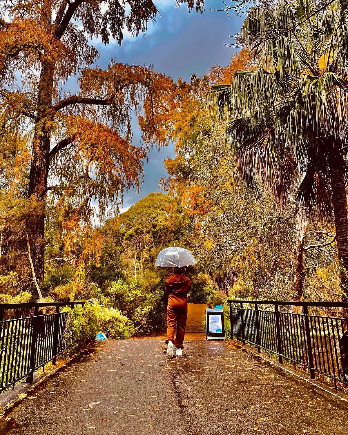 .LET GO... I can see the ocean | by Kusum Awlee (manita oli) | Medium