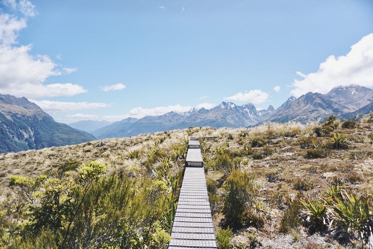 How to Show Up for Your Future Self, Today | by Michelle Polizzi | Medium