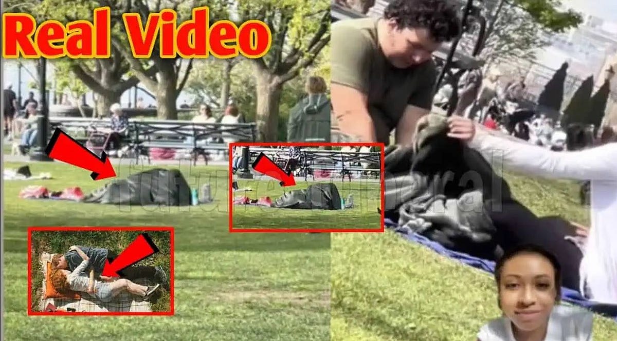 Watch: Couple Under Blanket NYC Park Sex Video | by Koko Lama | May, 2024 | Medium