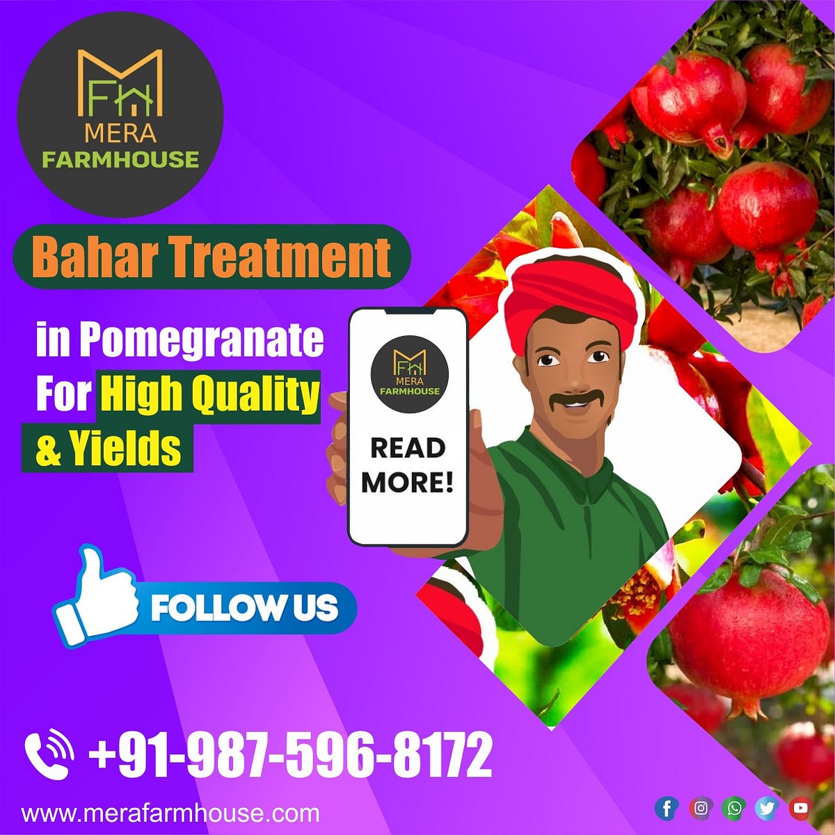 Bahar Treatment - Merafarmhouse - Medium