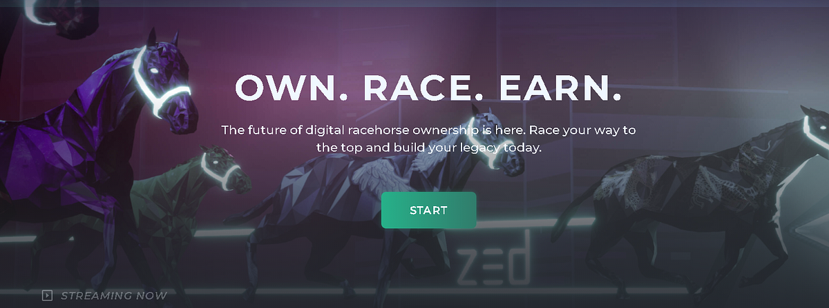 How to Trade ZED RUN Horses safely. | by Jonathan Gulino | Medium
