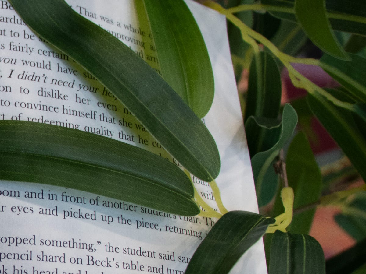 Writer’s Block? Use the Internet to Inspire Your Creative Writing | by ...