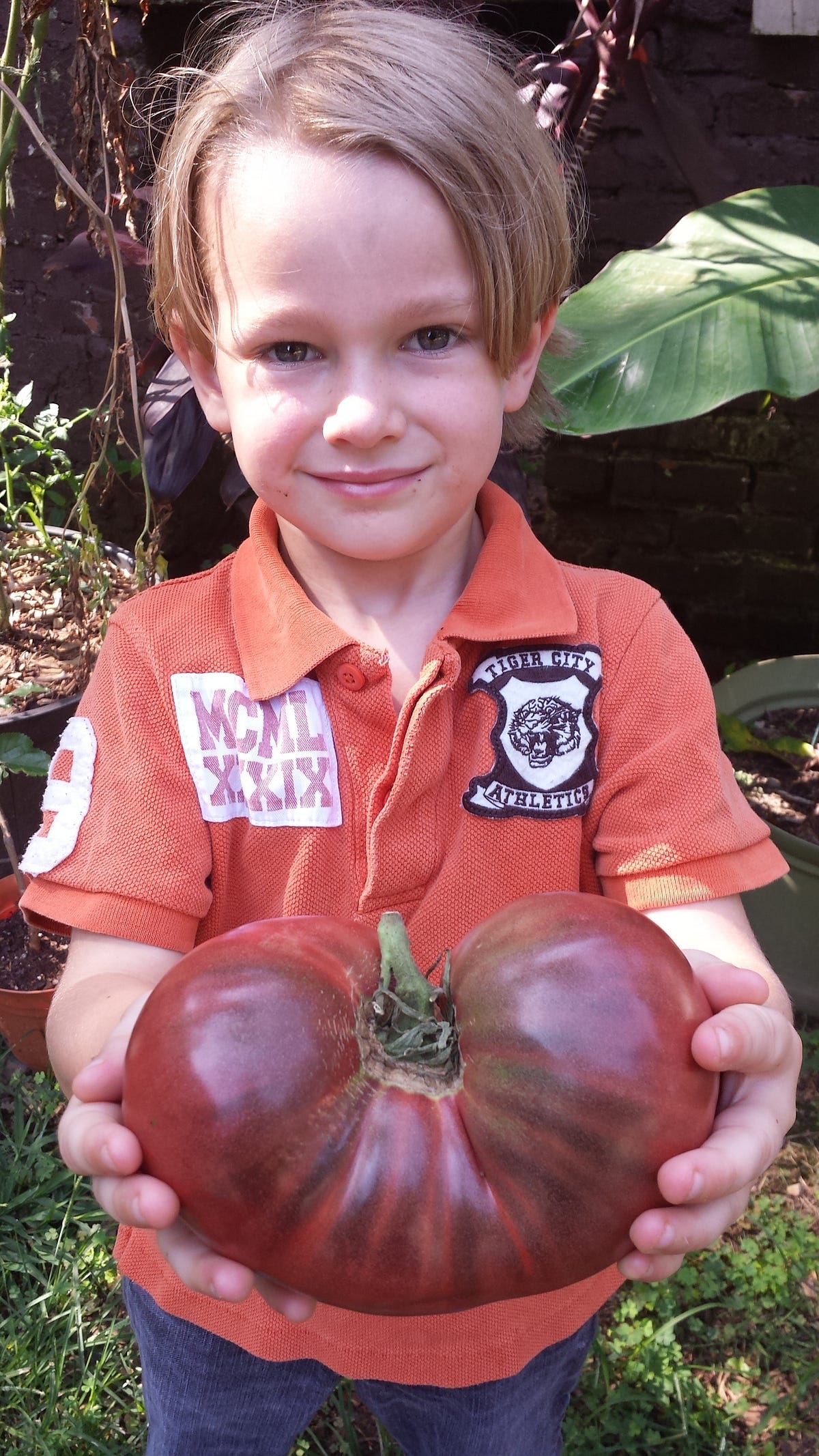 Welcome to Tomato Hacks!. Tomatohacks.com | by Tomato Hacks | Medium