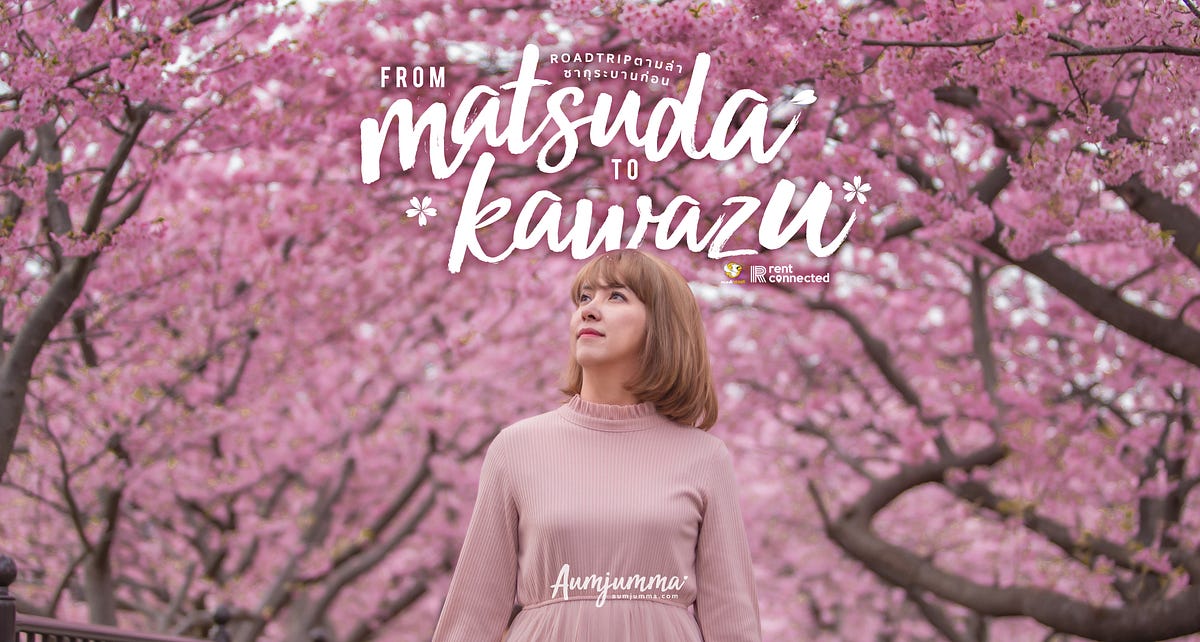 เช่ารถขับตามล่าซากุระบานก่อนที่สวยที่สุดจาก Matsuda สู่ Kawazu-Zakura ...