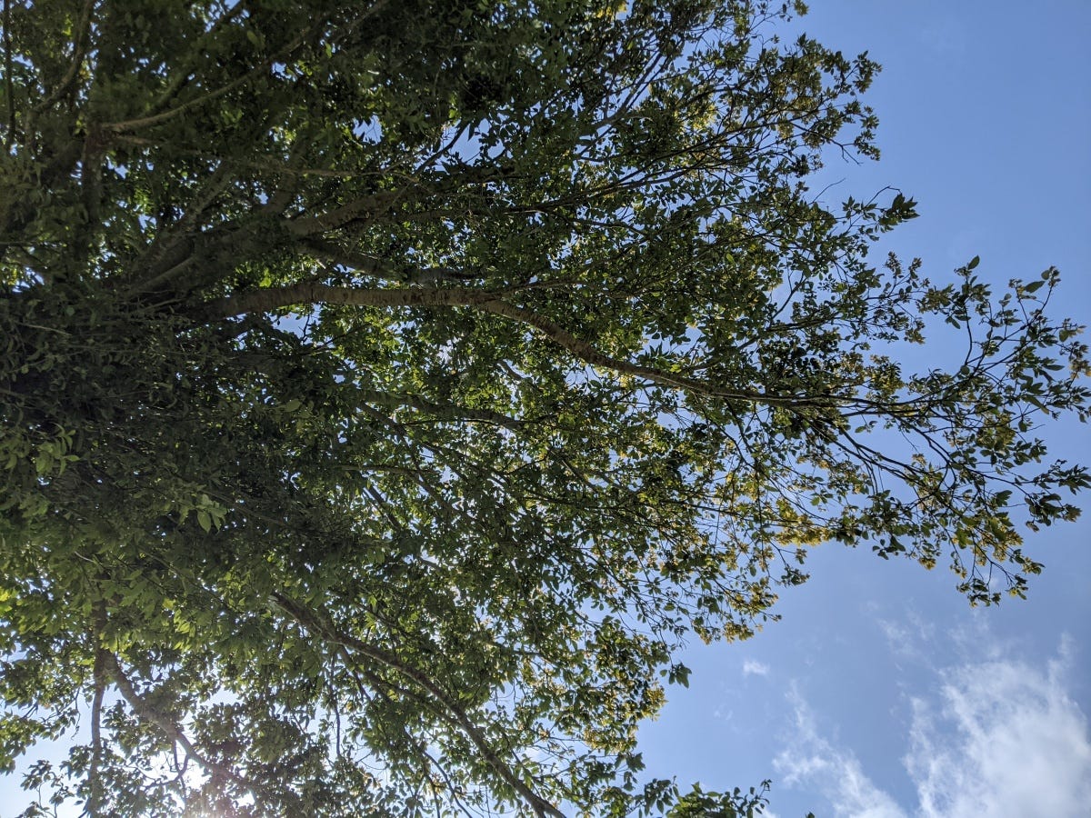 I Summarized 8 Common Self-Help Articles So You’ll Never Have To Read ...