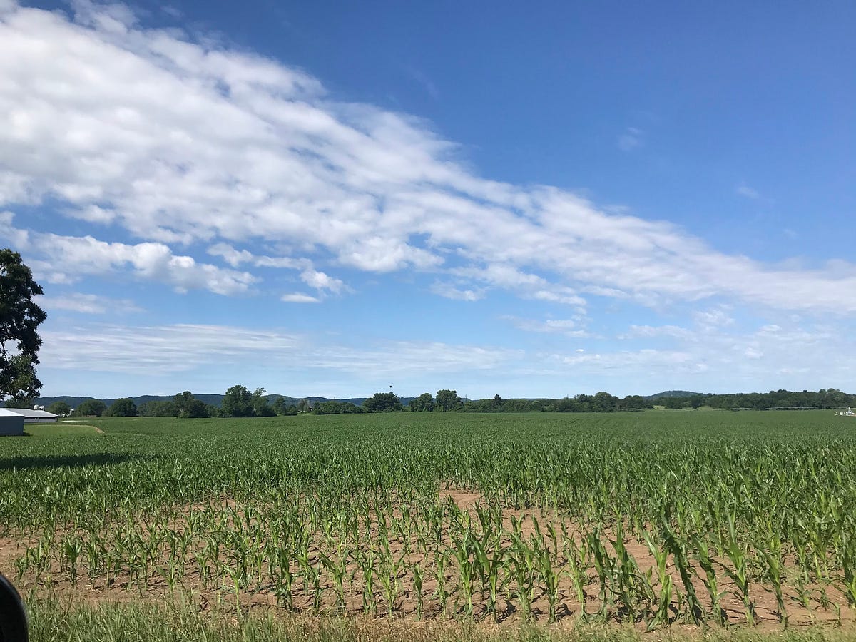 A Hard Year for Farmers. Spring was wet in Wisconsin. Really… | by ...