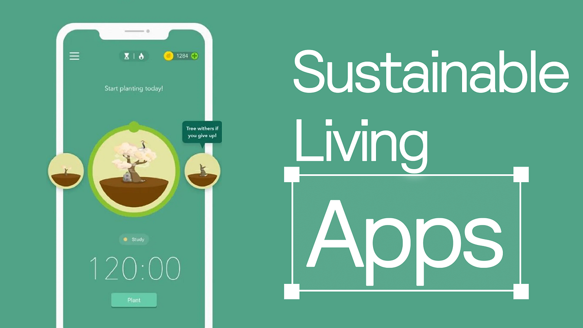 Step-by-Step Guide to Sustainable Living App Development | by Anil Jain ...