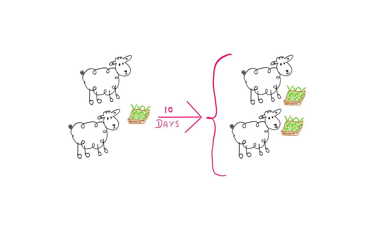 How To Solve The Doubling Puzzle? | by Hemanth | Street Science | Medium
