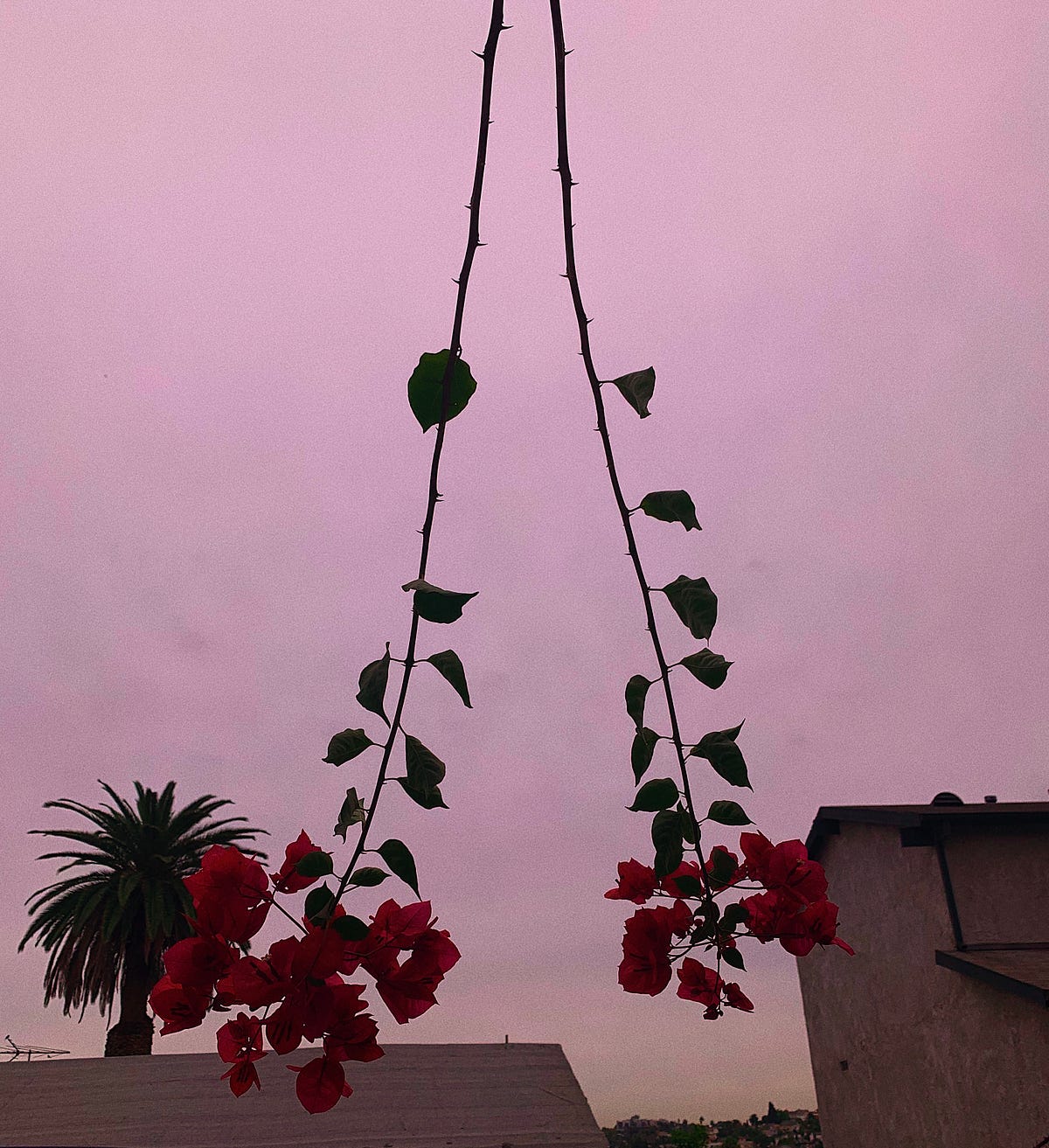 Suspended in Time. A poem | by Edith Espinoza | An Injustice!