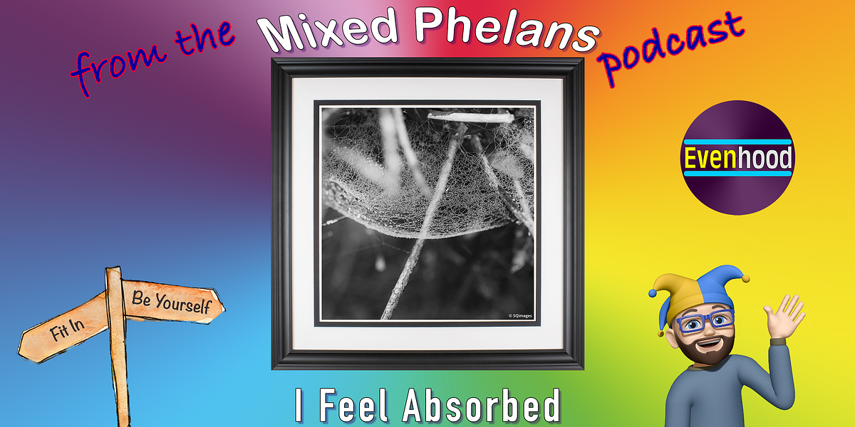 I Feel Absorbed - Mixed Phelans - Medium