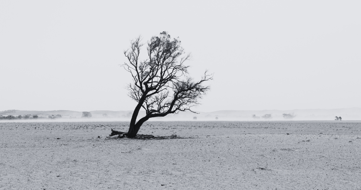 Success Has Many Godfathers. Failure Has None. | by Vishal Saini ...