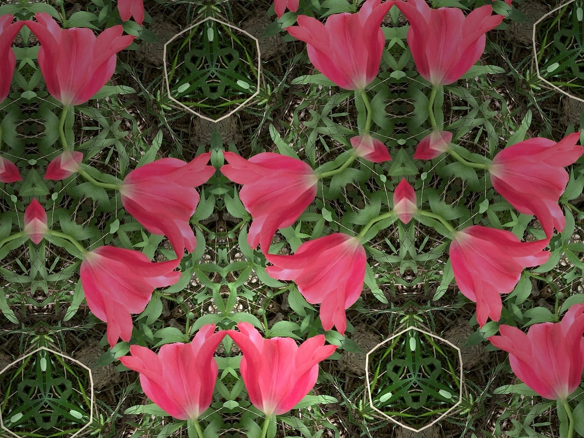 What is Compassion?. And what does an Universalist say about… | by Sailan | May, 2025 | Medium