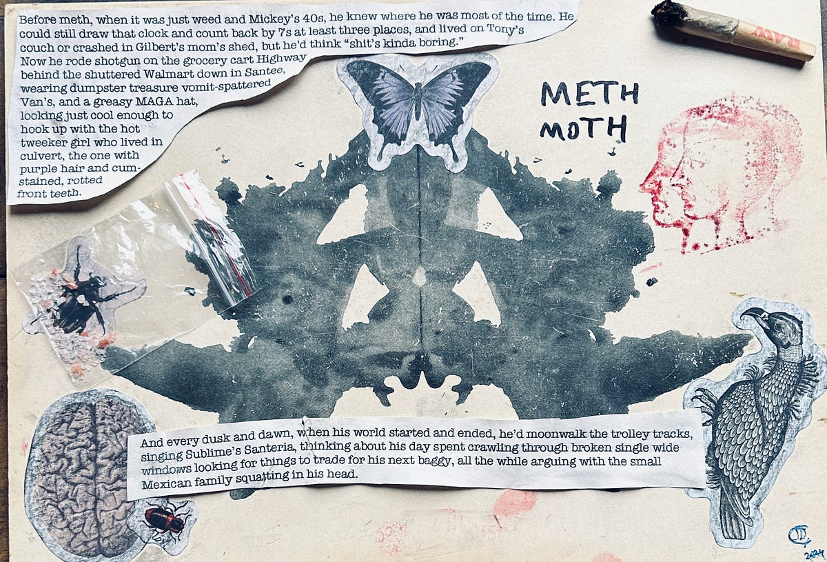 Meth_Moth2 + Monthman - The Pixelated Shroud - Medium