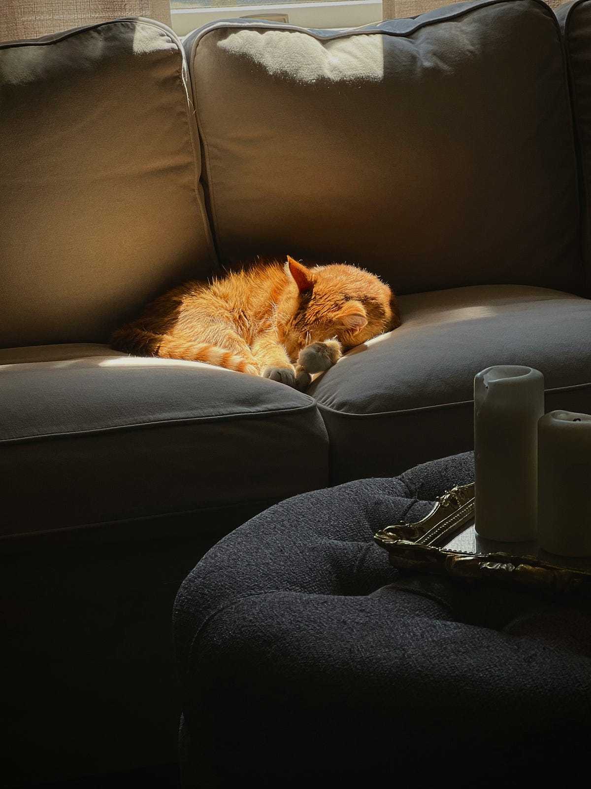 Why I became a ‘glimmer hunter’. And how it helps with the hard days ...