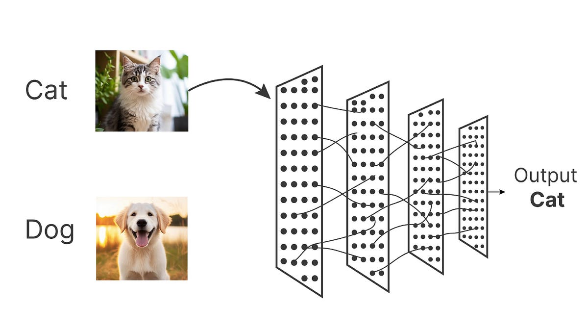 Cat vs Dog Image Classification using CNN | by Pratham Bisht | Medium