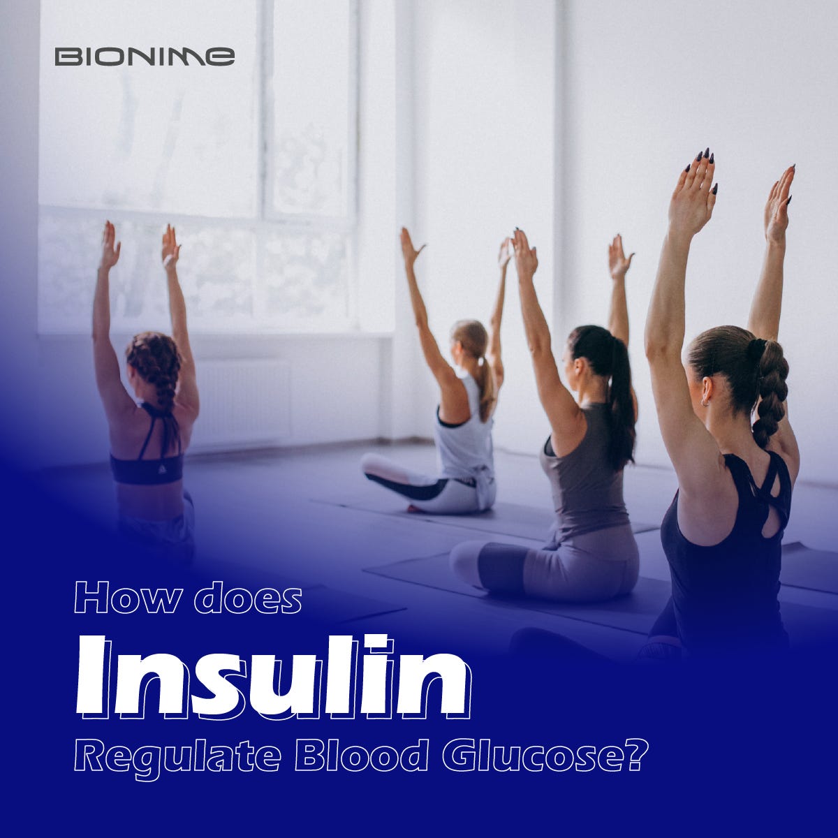 How does insulin regulate blood glucose control? | by Rightest | Medium