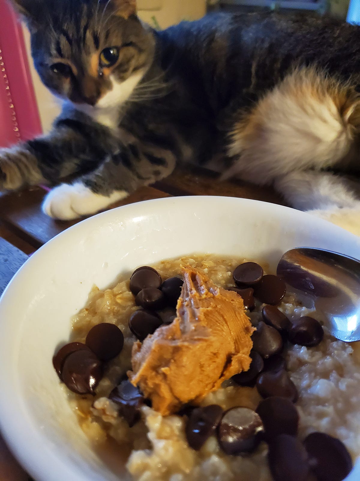 Quick and Simple Guilt-Free Reese Cup Oatmeal Recipe | by The Divergent ...