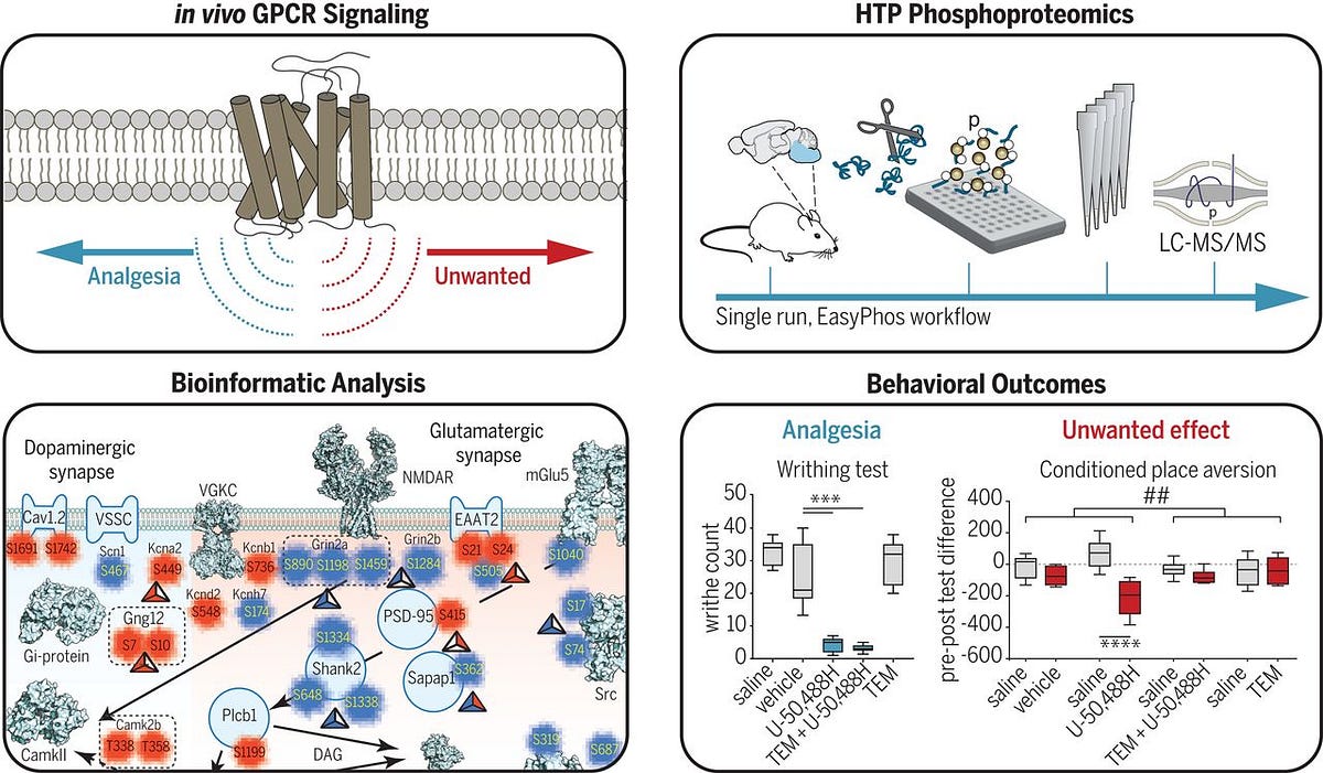 Using Phosphorylation Proteomics to Elucidate Signaling Pathways ...