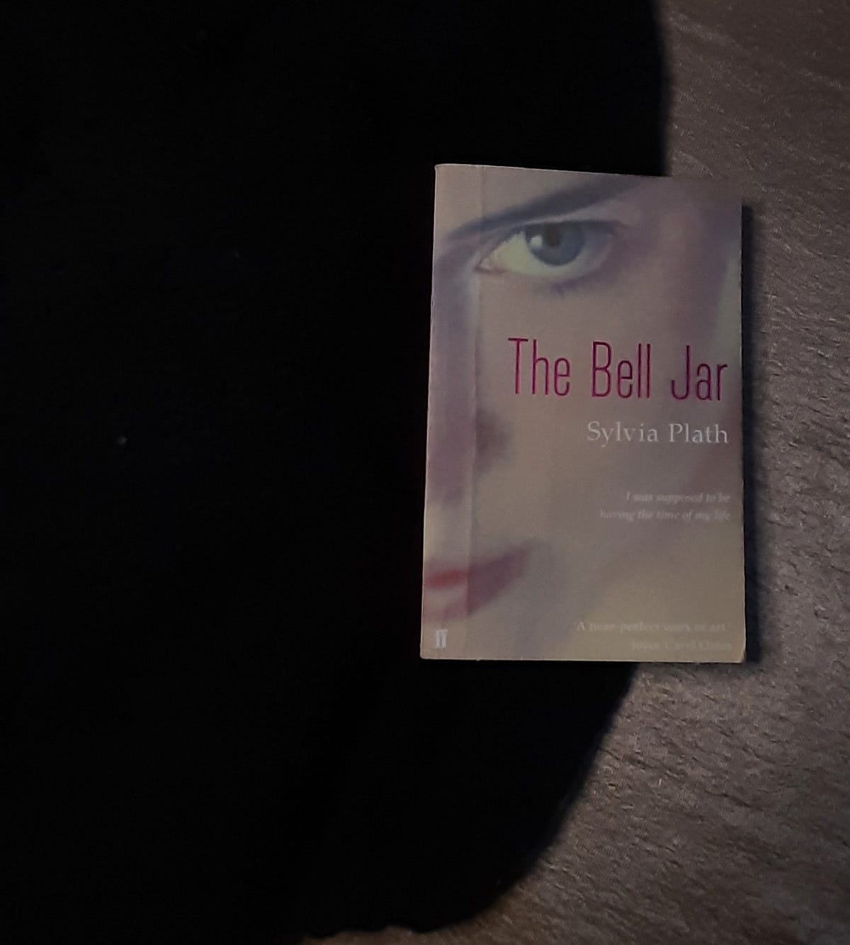 The Bell Jar by Sylvia Plath. The Bell Jar is the only novel written ...