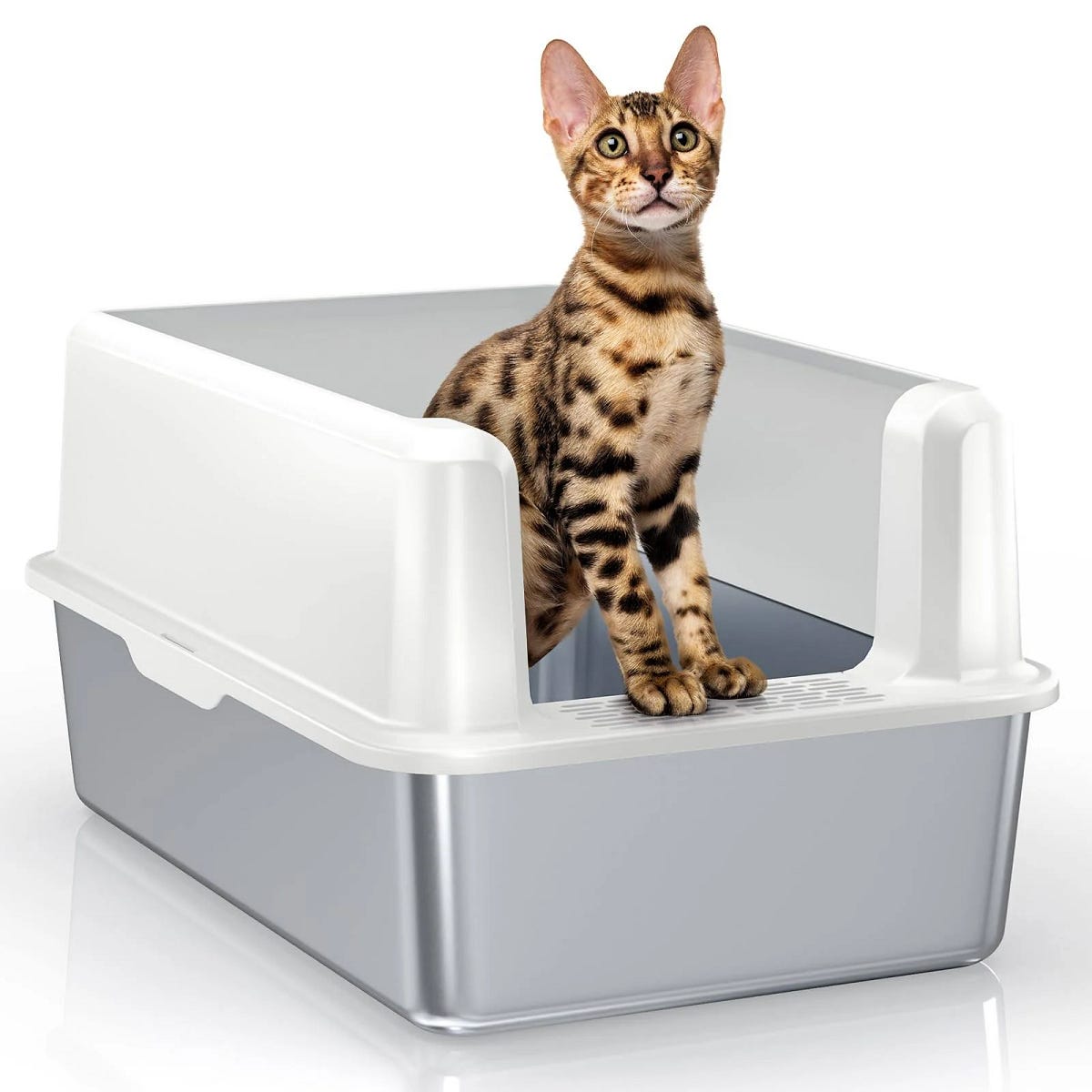 large cat litter boxes. Welcome, feline enthusiasts! Today… | by ...