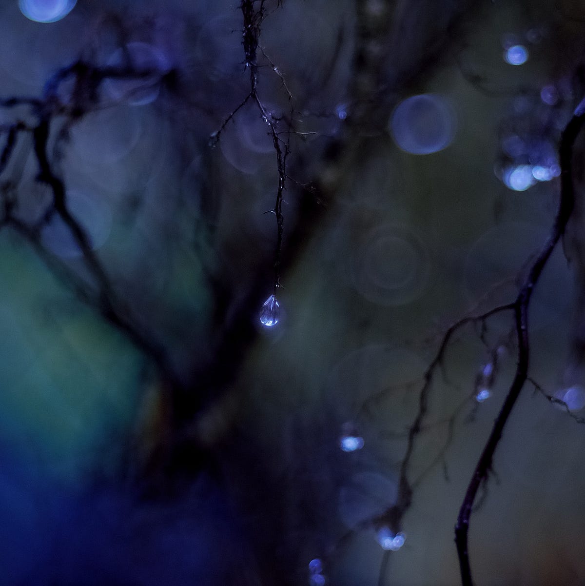Hún — The Ethereal Soul — [魂] — The Five Shen [Part I] | by Sage Blue ...